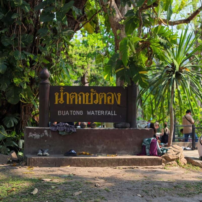 Bo Sang Umbrella Making Experience + Sticky Waterfall Tour - Key Points