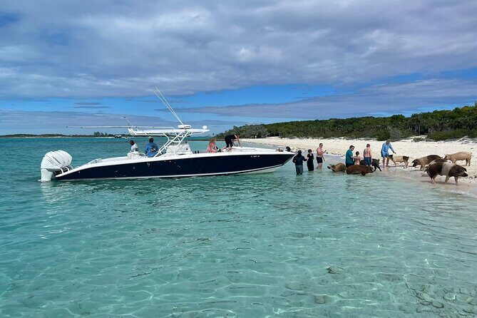 Boat Charters & Excursions - What to Expect on the Day