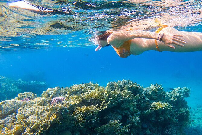 Boat Day Trip with Transport from San Juan to Fajardo - An In-Depth Look at the Experience