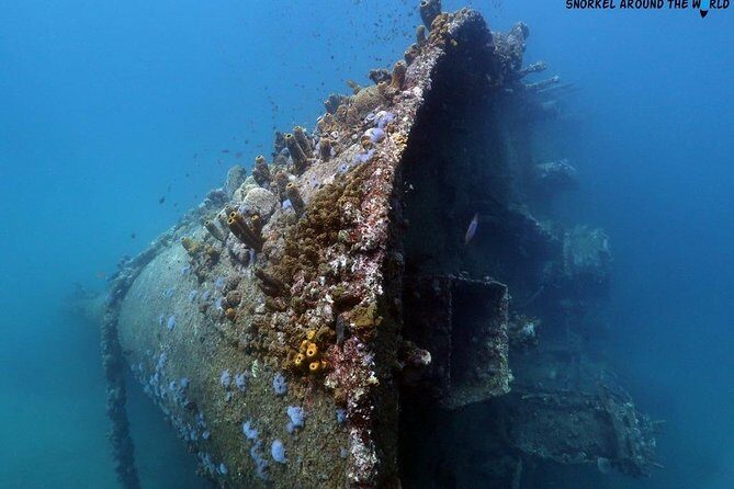 Boat Dive Shipwreck/ Airplanes/ Reef /2 tanks - Why Choose This Dive Tour? The Highlights