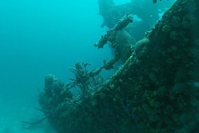 Boat Dive Shipwreck/ Airplanes/ Reef /2 tanks - The Sum Up