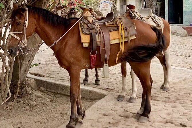 Boat Excursion and Hiking Walk in Quimixto - FAQ