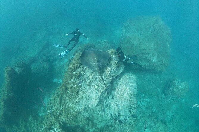 Boat Excursion to visit underwater lava tongues - Who Should Consider This Tour?