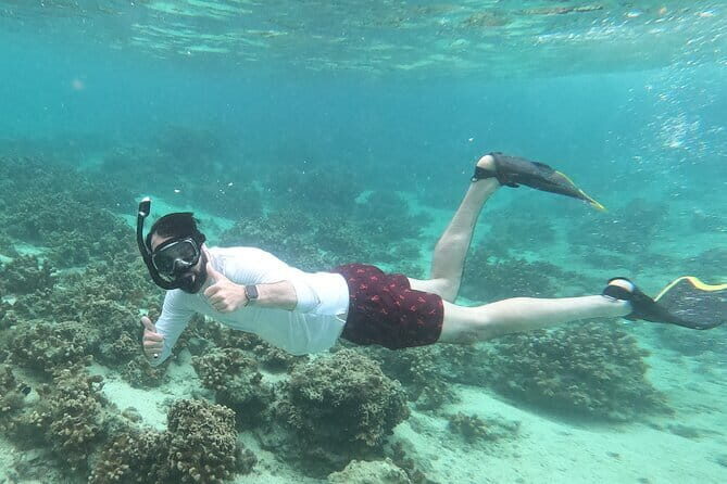 Boat Fundive 2Dives Minna, Sesoko , Motobu Okinawa - FAQ