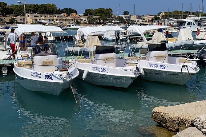 Boat rental without license Castellammare del Golfo-Rent boat - Diving Into the Details: Why This Experience Matters