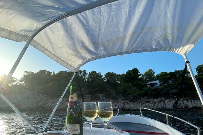 Boat Rental Without License Full day (8hs) - The Sum Up: Who is This Tour Best For?