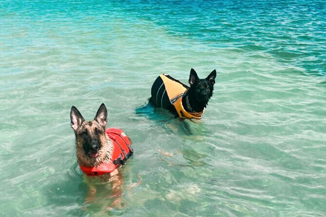 Boat Rentals to Shell Key, Treasure Island and St. Pete Beach - An In-Depth Look at the Experience