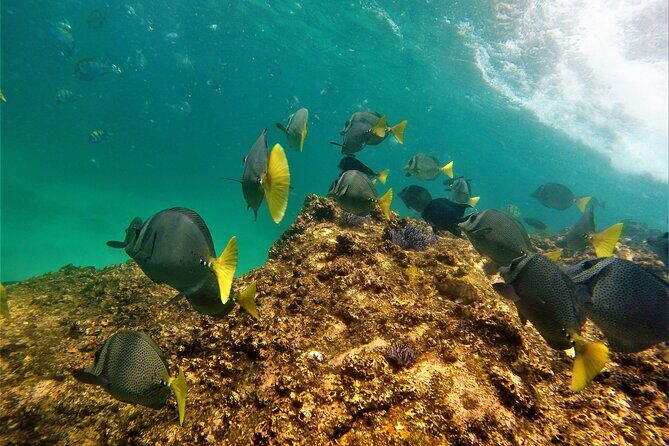 Boat ride to the Arch and Snorkel - The Value of This Tour
