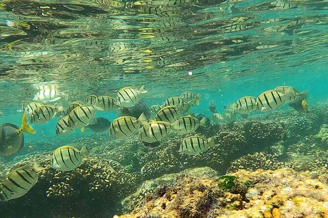 Boat ride to the Arch and Snorkel - Who Should Consider This Tour?