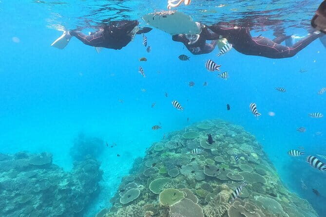 Boat Snorkeling Trip 2 Rounds Minna, Sesoko , Motobu Okinawa - Why This Tour Stands Out