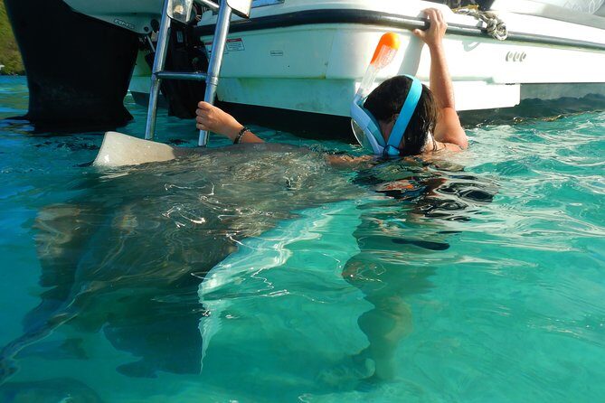 Boat tour 1/2 day Excursion in the lagoon of Moorea - Frequently Asked Questions