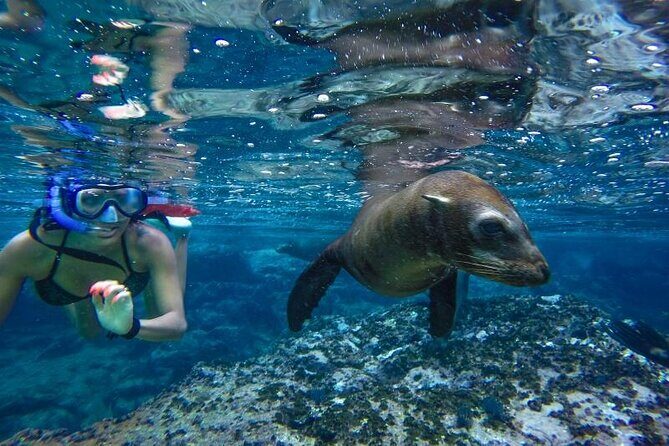 Boat Tour and Snorkel at Pelican Rock - An In-Depth Look at the Experience