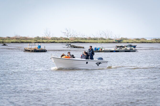 Boat Tour - Bird Observation in the Tejo Nature Reserve - Practical Details: What You Need to Know