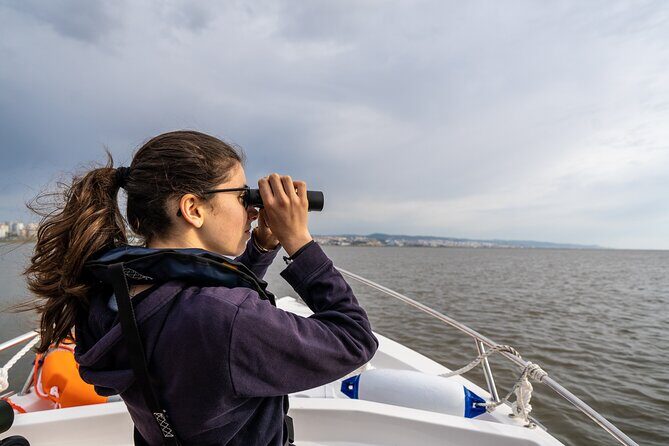 Boat Tour - Bird Observation in the Tejo Nature Reserve - Who Should Book This Tour?