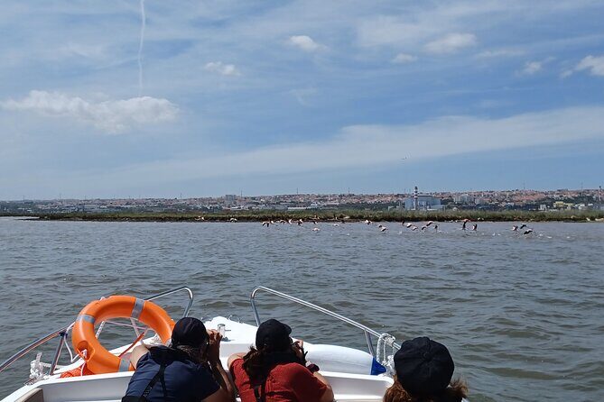 Boat Tour - Bird Observation in the Tejo Nature Reserve - The Sum Up: The Value of this Birdwatching Boat Tour