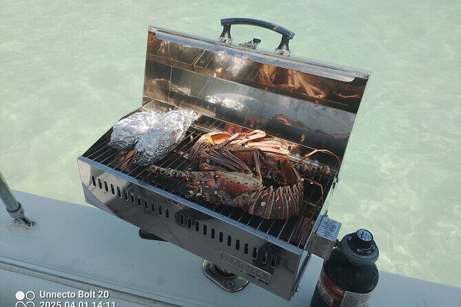 Boat Tour , Catch & Cook | Creative Eco Adventures - Who Should Consider This Tour?