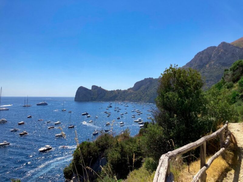 Boat Tour dinner experience in Nerano or Amalfi - Key Points