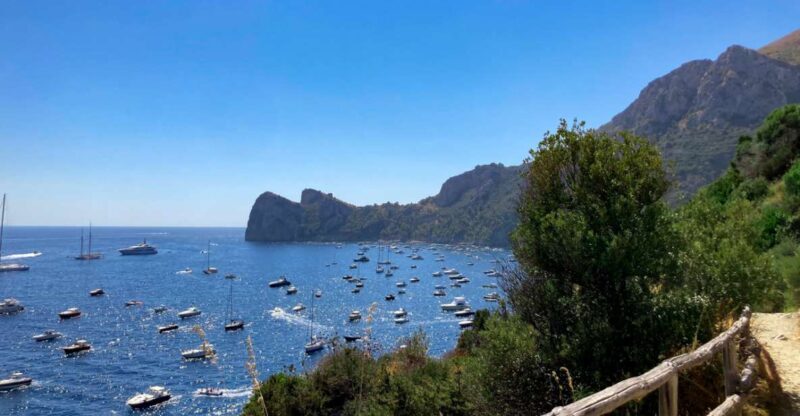 Boat Tour dinner experience in Nerano or Amalfi - An In-Depth Look at the Experience