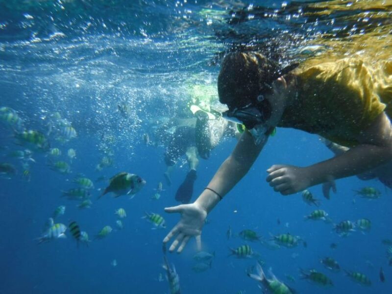 Boat tour from Avola to Portopalo with visit of Marzamemi - The Sum Up: Why You Should Consider This Tour
