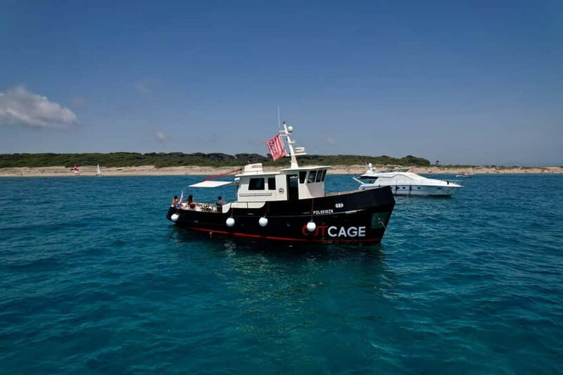 Boat tour Golfo Aranci: Tavolara and Molara Marine Protected Area - Key Points