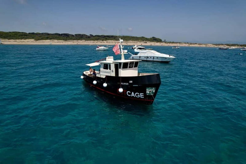 Boat tour Golfo Aranci: Tavolara and Molara Marine Protected Area - The Experience: Comfort, Authenticity, and Focus on Nature