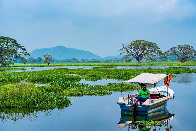 Boat Tour in Tissamaharama Lake - Key Points