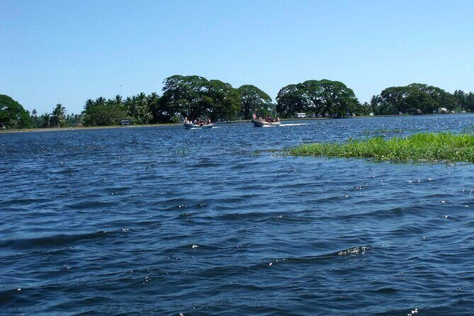 Boat Tour in Tissamaharama Lake - Authentic Traveler Insights