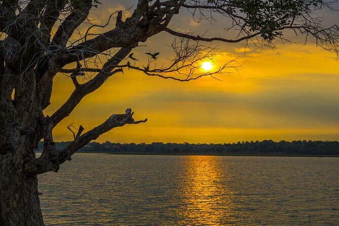Boat Tour in Tissamaharama Lake - The Sum Up