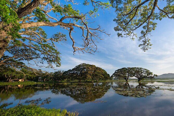 Boat Tour in Tissamaharama Lake - FAQ