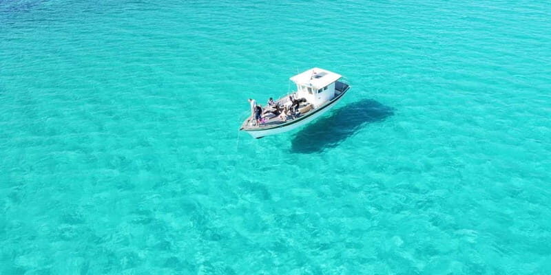Boat tour of Asinara at sunset with aperitif on board - Frequently Asked Questions