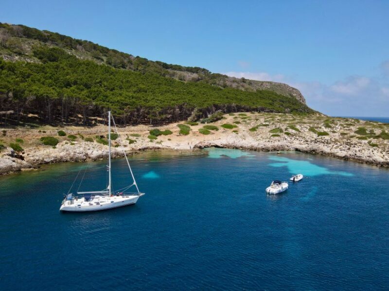 Boat tour of Favignana and Levanzo from Trapani - Analyzing the Value and Practicalities