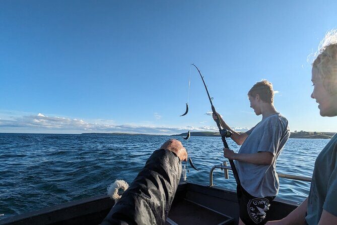 Boat Tour of Kinsale Harbour and Bandon River - An Overview of the Experience