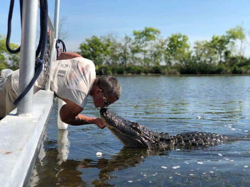 Boat Tour of Louisiana Bayous Near New Orleans - Who Should Consider This Tour?