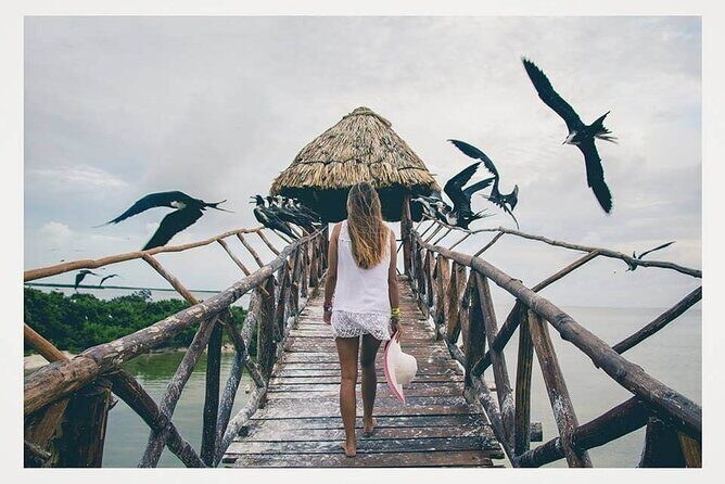 Boat Tour of Three Islands in Holbox with Transportation - A Deep Dive into the Holbox Islands Boat Tour