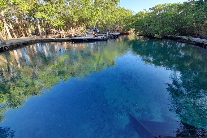 Boat Tour of Three Islands in Holbox with Transportation - Final Thoughts: Who Should Book?