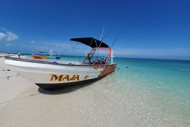 Boat Tour of Three Islands in Holbox with Transportation - Frequently Asked Questions