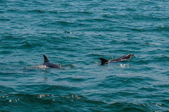 Boat Tour Snorkeling Tour with Guide, Drinks and Fruit - What’s Included & What’s Not