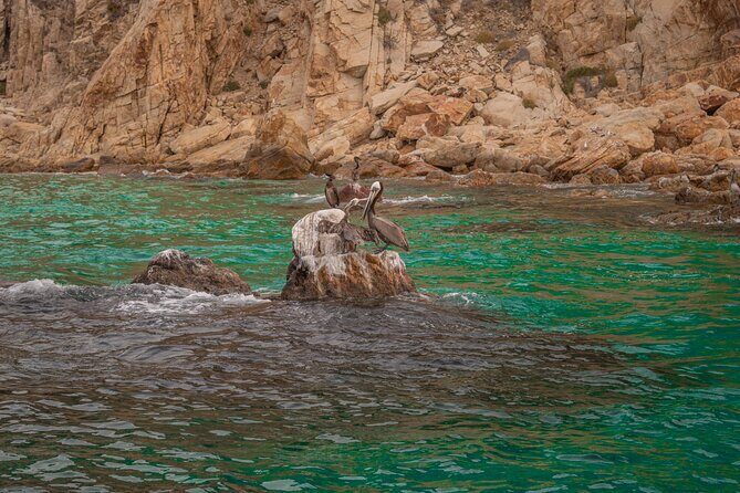 Boat Tour Snorkeling Tour with Guide, Drinks and Fruit - Authenticity & Traveler Experience
