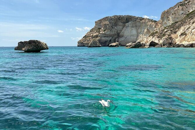 Boat tour the devil's saddle,snorkeling,prosecco and lots of sun - Who Will Love This Tour?