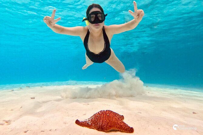 Boat Tour to Heaven in Cozumel with Ceviche - What to Expect from the Cozumel Heaven Snorkeling Tour