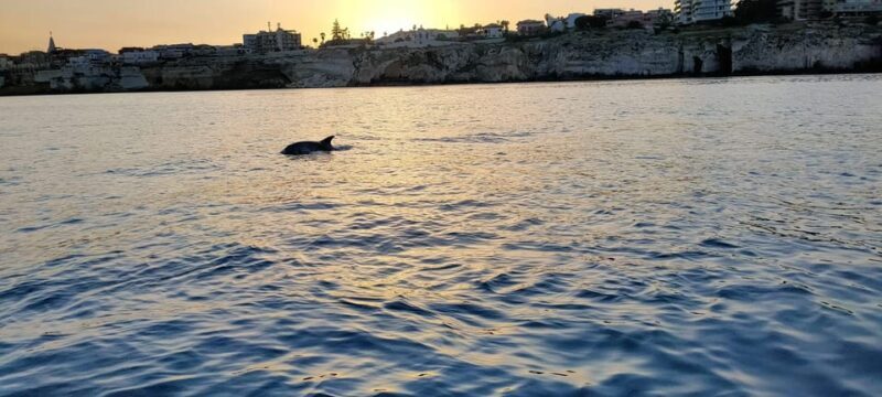 Boat Tour with Lunch on board - Frequently Asked Questions