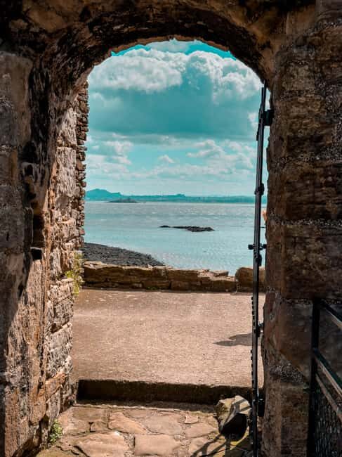 Boat trip and guided tour to Inchcolm Island - Authentic Opinions and Highlights from Reviewers