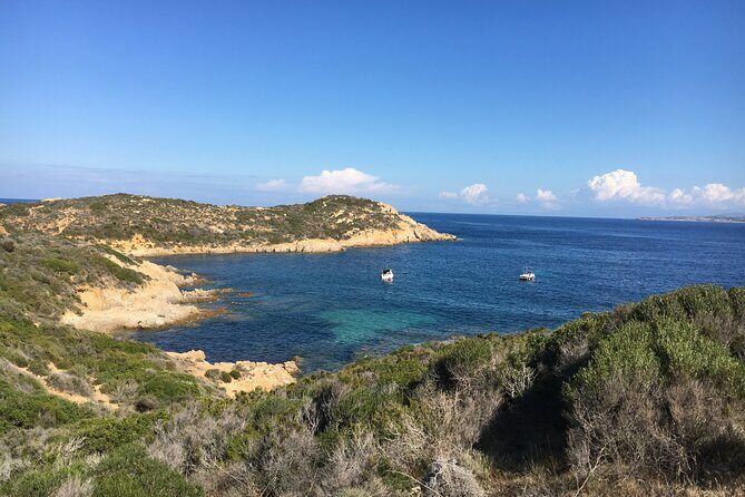 Boat Trip and Snorkeling in the Gulf of Calvi - Final Thoughts