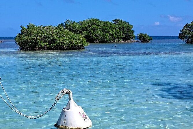 Boat trip EN 1/2 Day in the Grand Ass DE Sac Marin - Navigating the Itinerary: What to Expect