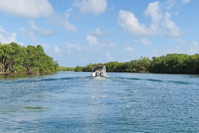 Boat trip EN 1/2 Day in the Grand Ass DE Sac Marin - The Experience and the Guides