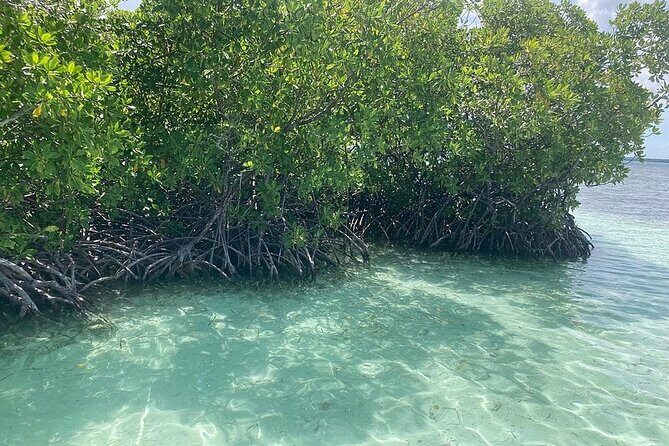 Boat trip EN 1/2 Day in the Grand Ass DE Sac Marin - Value for Money