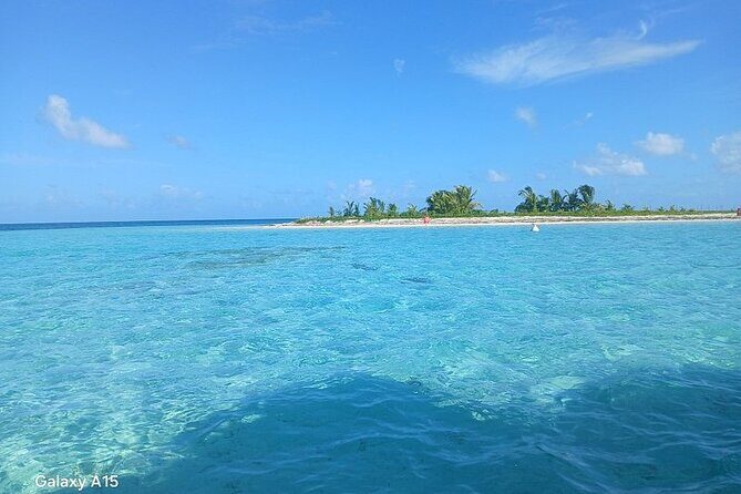Boat trip EN 1/2 Day in the Grand Ass DE Sac Marin - The Sum Up