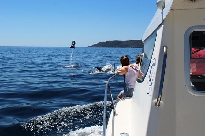 Boat Trip for Dolphin Watching along the Arrabida Coast and Sesimbra - An Authentic Adventure on Portugal’s Coast