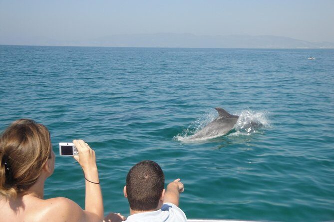 Boat Trip for Dolphin Watching along the Arrabida Coast and Sesimbra - The Sum Up