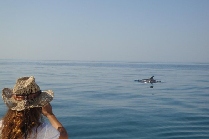 Boat Trip for Dolphin Watching along the Arrabida Coast and Sesimbra - FAQ